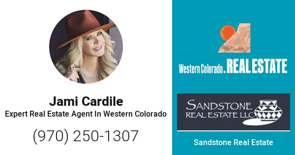 Jami Cardile Real Estate Agent Expert in